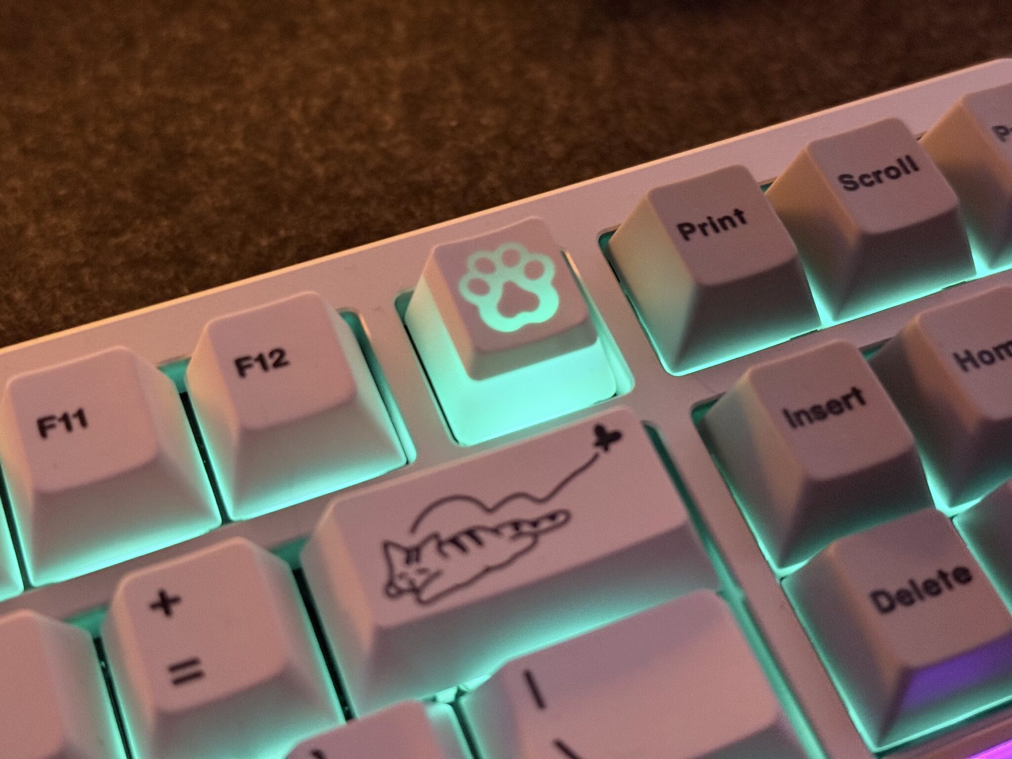 Evo80 Mechanical Keyboard Review – Endgame in TKL Form? - Crafting Worlds