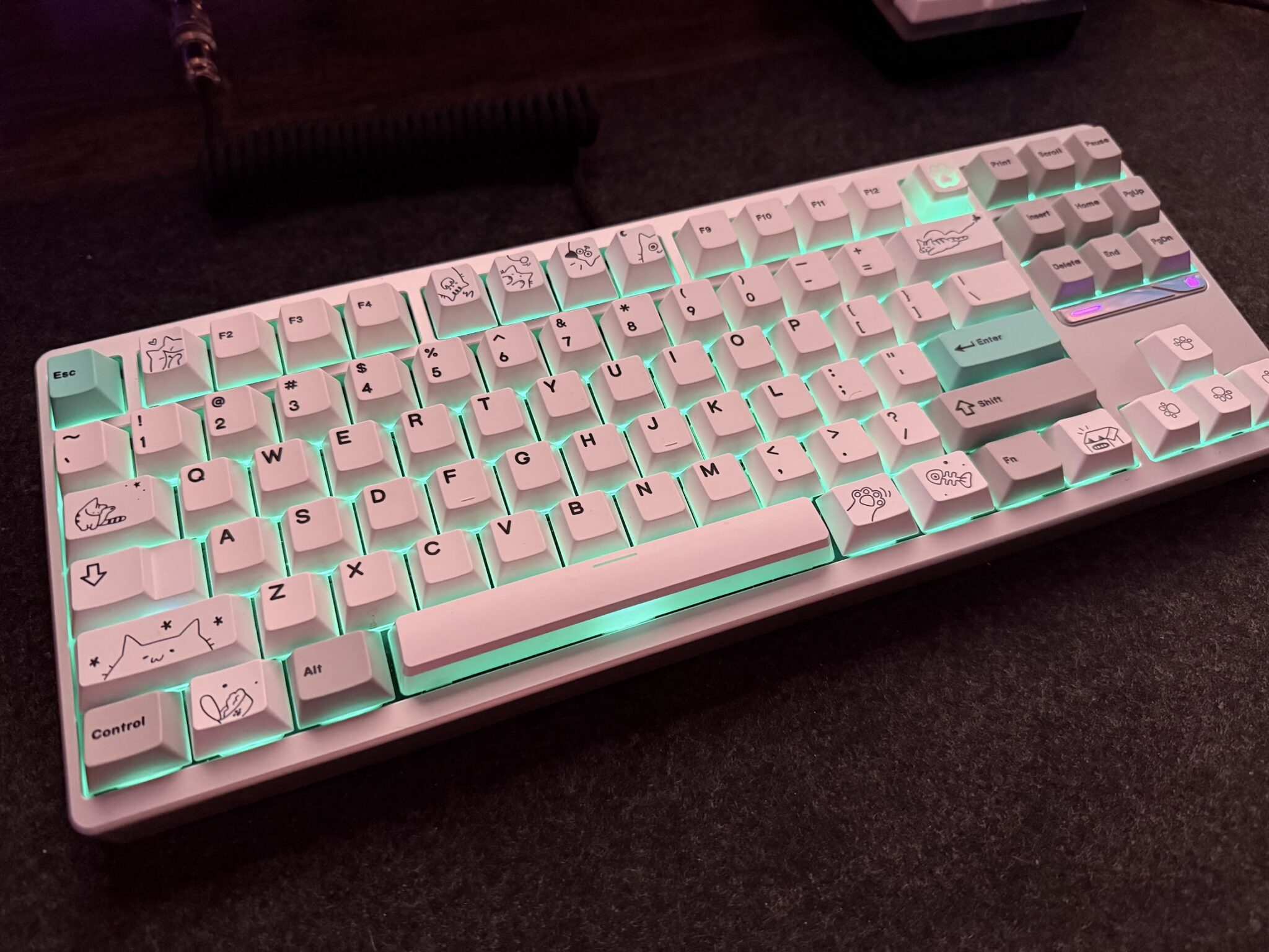 Evo80 Mechanical Keyboard Review – Endgame in TKL Form? - Crafting Worlds